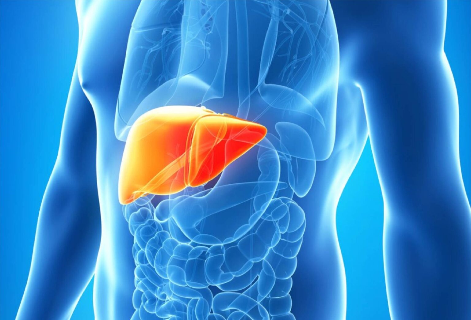 Liver Disease | Absolute Health