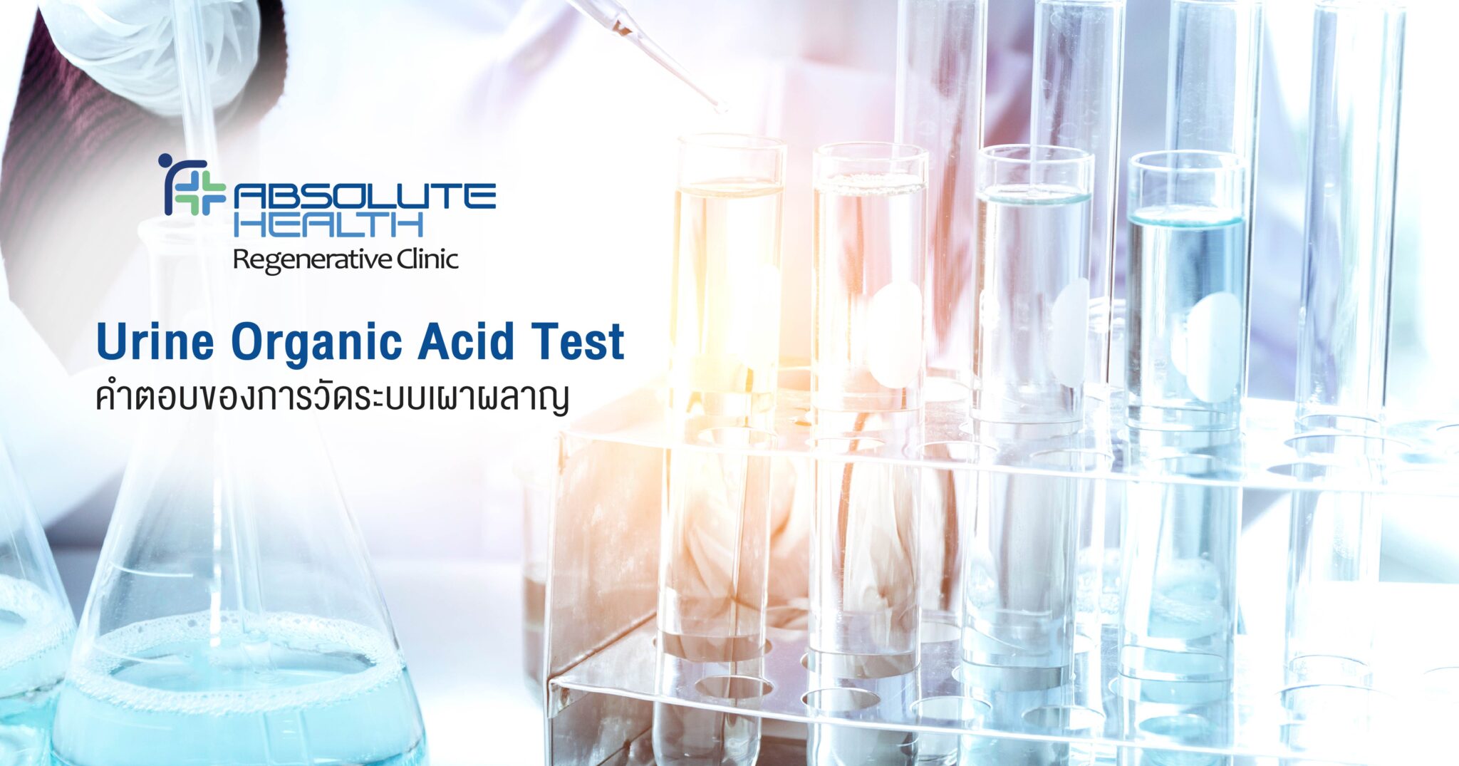 Urine Organic Acid Test | Metabolic Assessment Bangkok